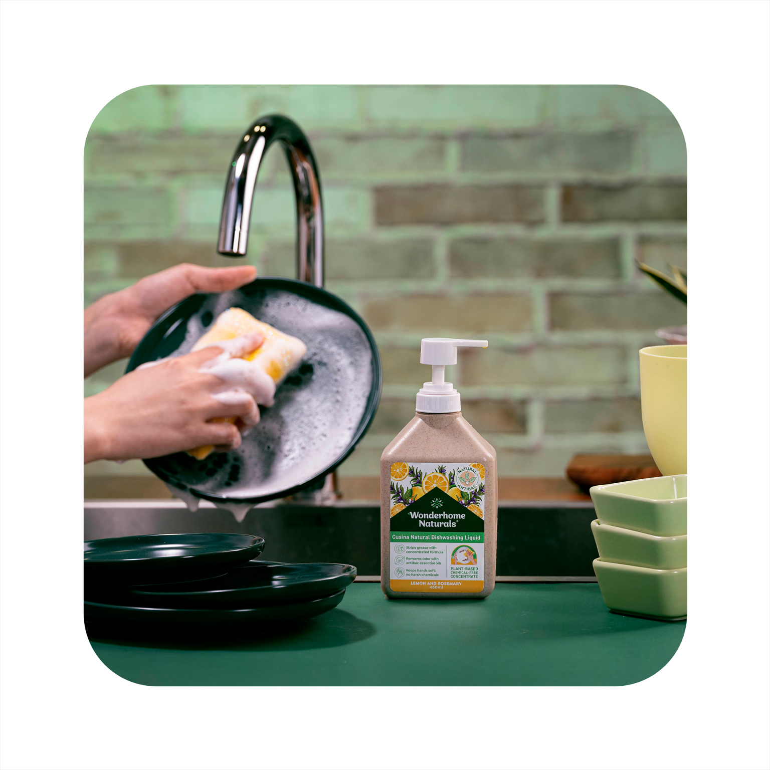 Cusina Natural Dishwashing Liquid - Wonderhome Naturals PH