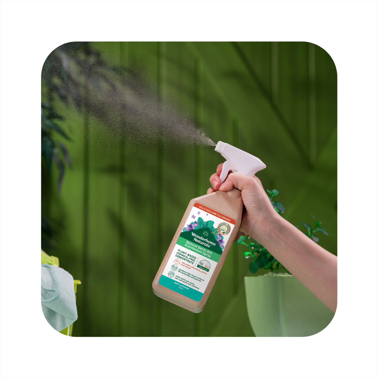 Natural Germ-Kill Disinfectant Spray - Wonderhome Naturals PH